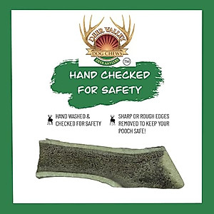 Deer Valley Dog Chews - Single Split Antler Chews (Large Size, 6-8 Inches Long) All Natural Dental Treat for Teething and Chewing - Premium Grade, Naturally Shed, USA (Single)