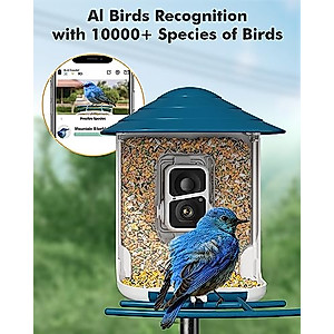 Dzees Security Camera Outdoor Wireless - Battery Powered WiFi Outdoor Camera Wireless, Smart Bird Feeder with Camera, AI Identify Bird Species, Auto Capture Bird Videos