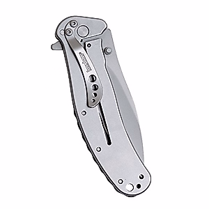 Kershaw Zing SS Pocketknife, 3" 8Cr13MoV Stainless Steel Blade, Assisted Thumb-Stud and Flipper Opening EDC