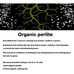 10 QT Professional Grade Horticultural Organic Perlite (10 QT, Perlite)