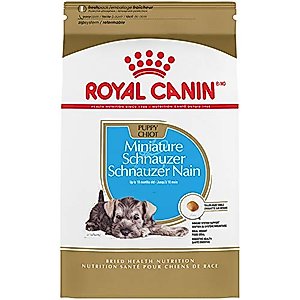 Royal Canin Breed Health Nutrition Miniature Schnauzer Puppy Dry Dog Food, 2.5 lb