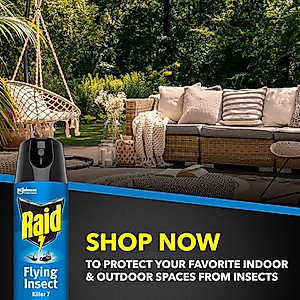 Raid S C Johnson Wax 81666 Fly/Insect Killer, 18-Ounce