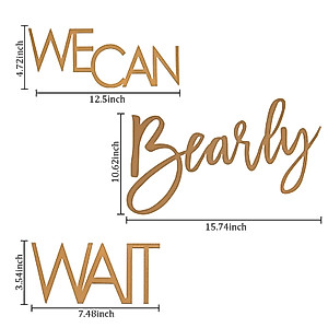 We Can Bearly Wait Sign Teddy Bear Baby Shower Decoration Backdrop Brown Wooden Banner for Gender Reveal Party (Girl Boy Baby) Theme Party Background