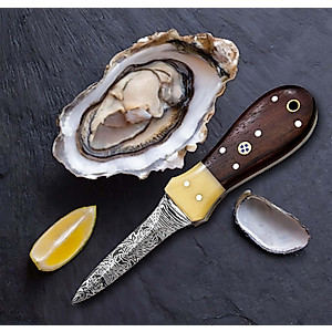 Oyster Shucker Knife Oyster Knife Damascus Steel Camel Bone & Walnut Handle Leather Sheath Seafood Opener Kit Tool Non Slip Handle (Walnut Handle)