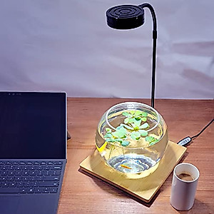 AREPK Aquarium Light Full Spectrum LED, for Under 3 Gallon Fish Tank, Light with Timer Auto On/Off, Betta Fish Tank,Indoor Plant Growth, Potted Plants, Succulent, Miniature Gardening Landscape (5)