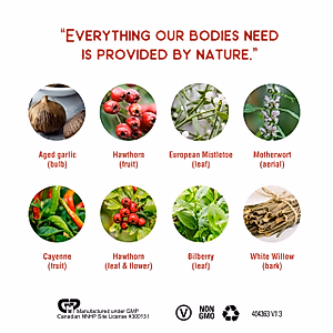 Strauss Naturals Heartdrops, Herbal Heart Supplements with European Mistletoe and Extracts of Aged Garlic, 3.4 fl oz Bottle, Original Flavor; Vegan, Non-GMO, Naturally Sourced Ingredients