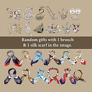 Jeicy Beret Hats for Women, Black Beret,Red Beret,French Wool Beret Hat, （Send a Silk Scarf Brooch） Indoor Outdoor