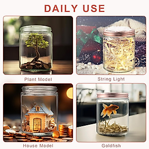 Tioncy 12 Pcs 8 oz 250 ml Thick Glass Jars with Metal Lids, Clear Candle Making Jars with Rose Gold Lids Empty Food Storage Containers Mason Canning Jar for Spice Powder Liquid Honey Cosmetic