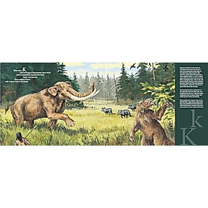 S is for Show Me: A Missouri Alphabet (Discover America State by State)