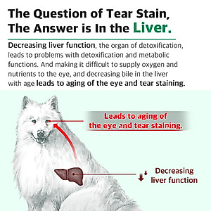 DoctorBy Eyes Care Plus Dog Tear Stain Supplement Eye Drops for Dogs Eye Health Support with Milk Thistle Lutein Beta Carotene - 100 Soft Chews