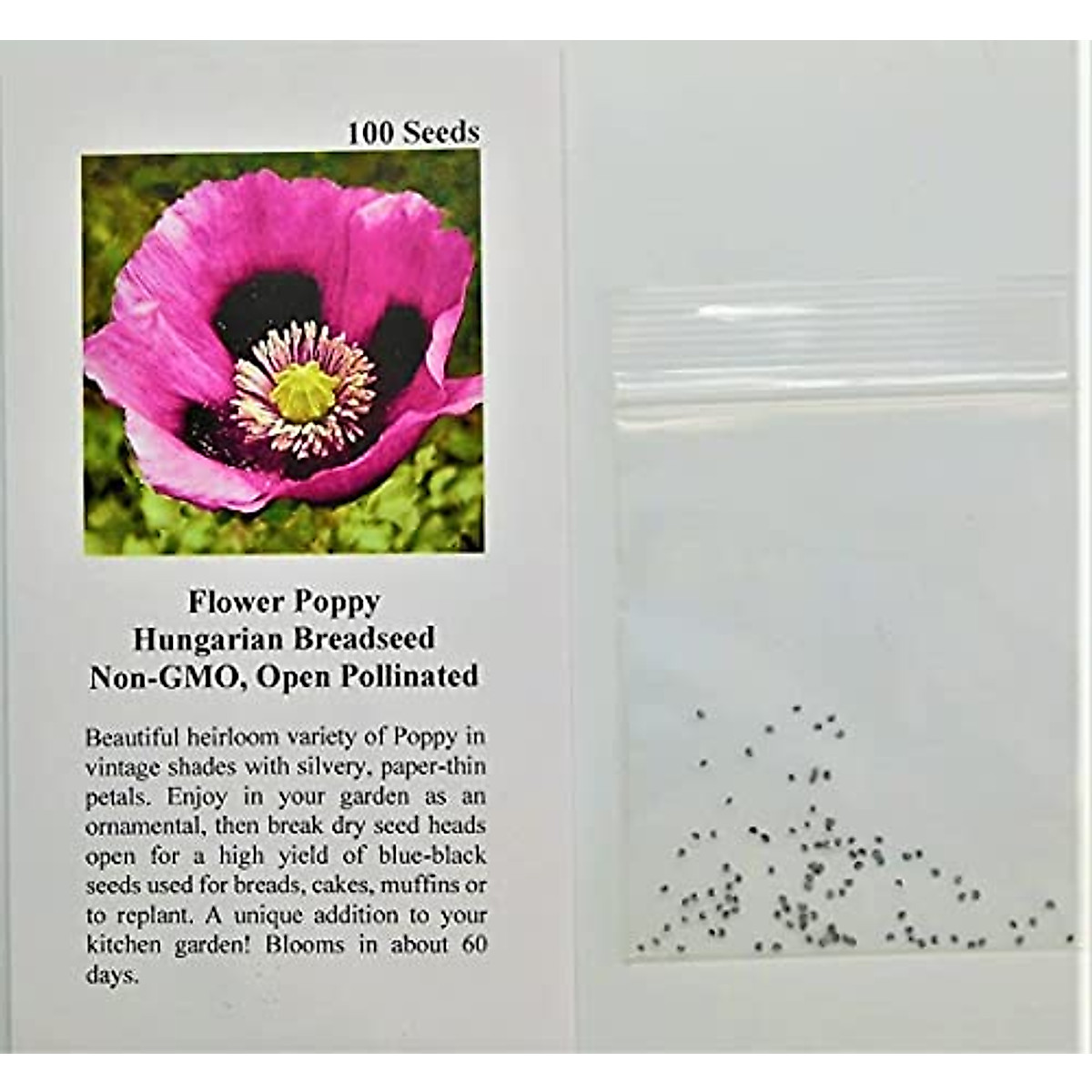 David's Garden Seeds Flower Poppy Hungarian Breadseed (Purple) 100 Non-GMO, Open Pollinated Seeds