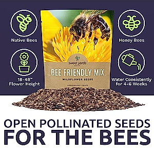 Bee Friendly Wildflower Seed Mix - Bulk 1 Ounce Packet - Over 7,500 Open Pollinated Seeds - Save The Bees!