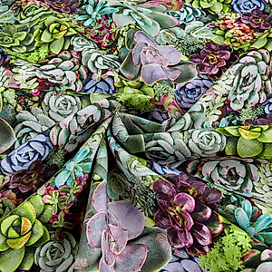 Whistler Studios One Of A Kind Succulents Multi, Fabric by the Yard
