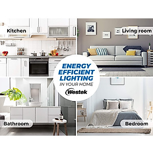 Westek MLC12BC-4 Indoor Plug-in Corded Motion Activated Light Control, 1 Count (Pack of 1), White