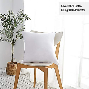 Oubonun 18"x18" Pillow Inserts (Set of 2) - Throw Pillow Inserts with 100% Cotton Cover - 18 Inch Square Interior Sofa Pillow Inserts - Decorative Pillow Insert Pair - White Couch Pillow