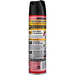 Raid Ant and Roach Kills on Contact No Lingering Chemical Odor Outdoor Fresh Scent 12 Oz. (1 Each)