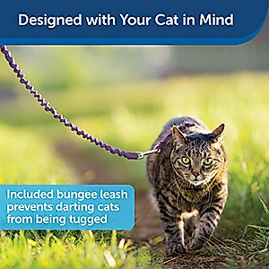 PetSafe Come With Me Kitty Harness and Bungee Leash, Harness for Cats, Large, Lilac/Bright Purple