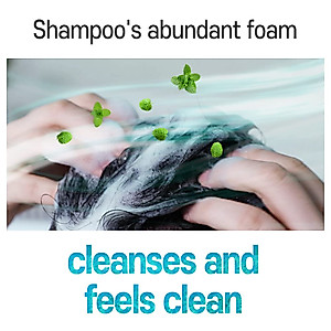 Elizavecca CER-100 Collagen Coating Hair A+ Muscle Hell-Tornado Shampoo 500ml/16.9 fl.oz. - Hair Shampoo Especially for Oily hair | Hair Shampoo for oily hair scalp | K-Beauty