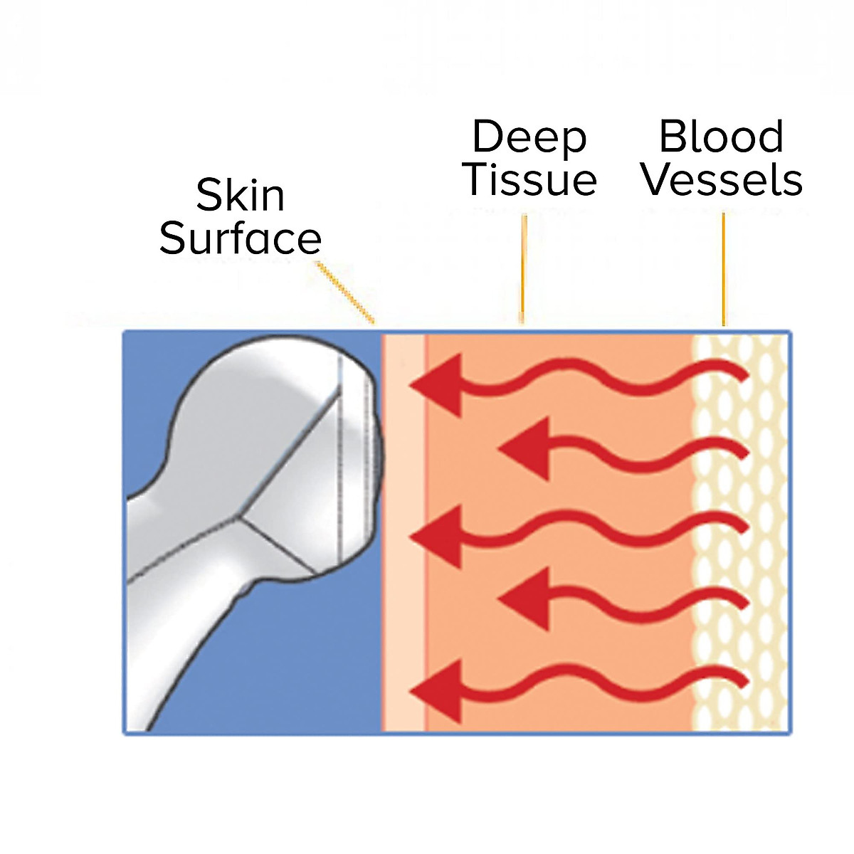 ADC427QEA - American Diagnostic Corp Adtemp Temple Touch 6 Second Conductive Thermometer, 4-2/3 x 1-1/6 x 1, Dual Scale, 1.5V Battery