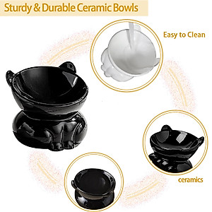 Elevated Cat Bowls, 15° Tilted Raised Cat Food Bowl Anti-Vomiting,Whisker Friendly, Cat Dishes for Protecting Spine (Black)