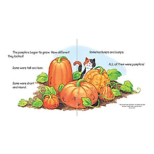 The Pumpkin Patch Parable: Special Edition (Parable Series)