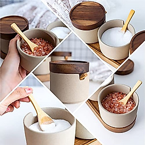 ISABETTA 3 Pcs Sugar Bowls Ceramic Condiment Pots，Ceramic spice jar，Ceramic Seasoning Jar with Wooden Lid Spoon and Tray for Home and Kitchen
