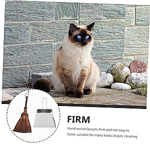 COOLHIYA 1 Set Pet Broom Dustpan Pet Cage Broom Mini Dustpan Home Accessory Desk Cleaning Broom Steel Scoop Litter Multi-Function Whisk Broom Convenient Dust Pan Small Broom Stainless Steel