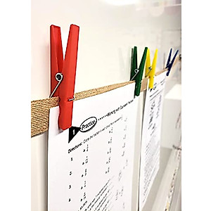 Teacher Created Resources Plastic Clothespins (20649)