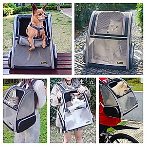 Texsens Innovative Traveler Bubble Backpack Pet Carriers for Cats and Dogs (Black)