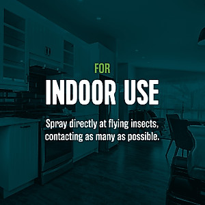 Ecologic Flying Insect Killer, Kills Fruit Flies, Mosquitos, Gnats and Other Insects, (Aerosol Spray) 14 fl Ounce
