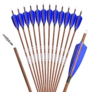ZSHJGJR 31" Archery Carbon Arrows Spine 340 400 500 600 Hunting Arrows with Removable Tips Natural Feather Targeting Arrows for Compound & Recurve & Traditional Bow 6/12pcs (Spine 340, blue, 12)