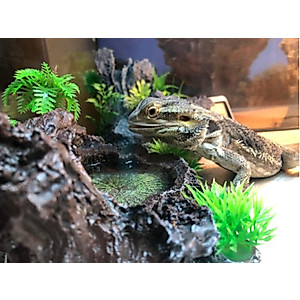Hamiledyi Reptile Tank Decor Resin Reptile Platform with Artificial Plants Reptile Water Dish Food Bowl Reptile Feeding Dish for Lizard Small Turtle Gecko Water Frog Snake Amphibian Crawling Platform