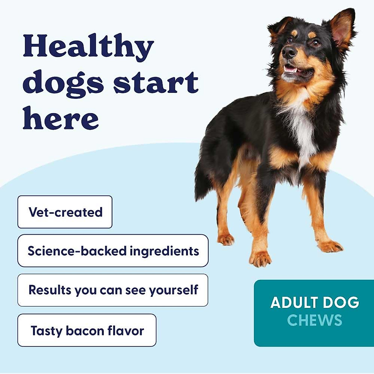 Origin Labs Adult Dog Multifunction Support, Omega 3 Supplement, Gut Health Probiotics, Immune Support, Heart, Skin, Liver, Brain, Joint Health, Glucosamine Chondroitin, Bacon Flavor, 90 Soft Chews