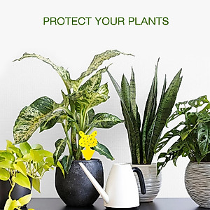 60Pack Fruit Fly Traps Fungus Gnat Traps Yellow Sticky Bug Traps for Indoor Outdoor Plants, Pest Insect Catcher Killer for Whitefly, Fungus Gnat, Mosquito and Bug, Non-Toxic, 4 Shapes