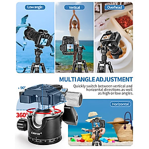 Ball Head Mount, CAVIX 36mm Ball Head Camera Tripod Head with 1/4“ Arca Swiss Quick Release Plate for Tripod, Monopod, DSLR, Camera,Load 33lb/15kg