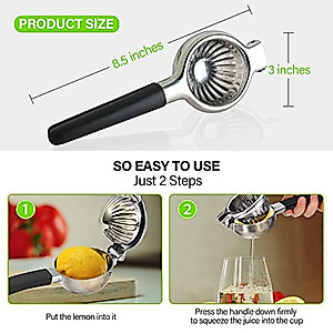 Pressure Absorbing Handles Apple Slicer and Lemon Squeezer, Easy to Use Kitchen Tool