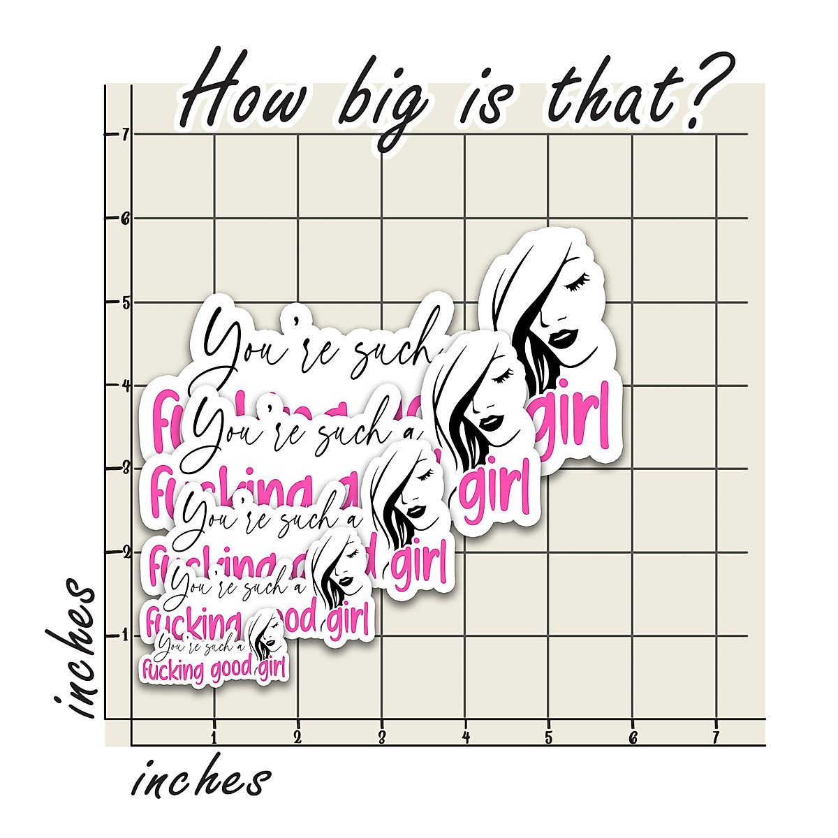 Such a F*cking Good Girl Sticker, Romance Sticker, Smut Sticker, Good Girl Sticker, Reading Sticker, Water Assitant Die-Cut Vinyl Funny Decals for Laptop, Phone, Water Bottles, Kindle Sticker