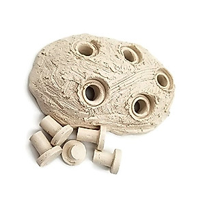 Oceans Wonders Flush Fit Frag Station Hub 5.0 Coral Reef Plug Holder with 5 Plugs