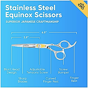 Equinox Professional Razor Edge Series Barber Hair Cutting Scissors - Japanese Stainless Steel Salon Scissors - 6.5” Overall Length - Fine Adjustment Tension Screw - Premium Shears for Hair Cutting