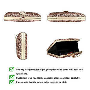 jessie Clutch Purses for Women, Sparkling Crystal Evening Bag Bridal Prom Handbag Wedding Party Bag (Champagne)