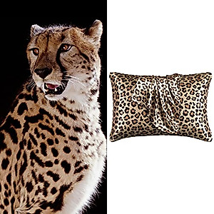 2 Pack Satin Pillowcase for Hair and Skin, Leopard Print with Envelope Closure, Satin Silk Pillow Cases 20x36 inches/King Size
