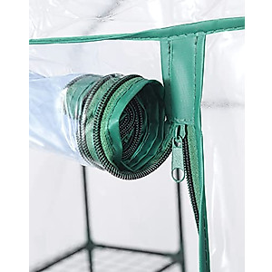 Miracle-Gro 4'8" x 4'8" x 6'5" All-Season Small Walk-in Greenhouse with 8 Wire Shelves for Outdoors, Easy-Access and Durable, Translucent