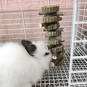 Bunny Chew Toys for Teeth,3Pieces Natural Fruit Twigs Handmade Timothy Hay Grass Cakes for Guinea Pigs Hamsters Dwarf Rabbits Chinchillas Gerbils Improves Dental Health