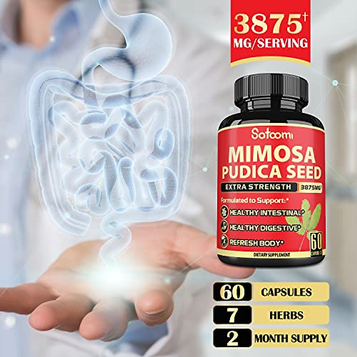 Natural Mimosa Pudica Seed Capsules - 7 Herbs - Equivalent to 3875mg with Oregano, Garlic, Neem Leaf, Black Walnut Powder, Clove Powder, Guduchi Powder - 1 Pack 60 Capsules for 2 Months