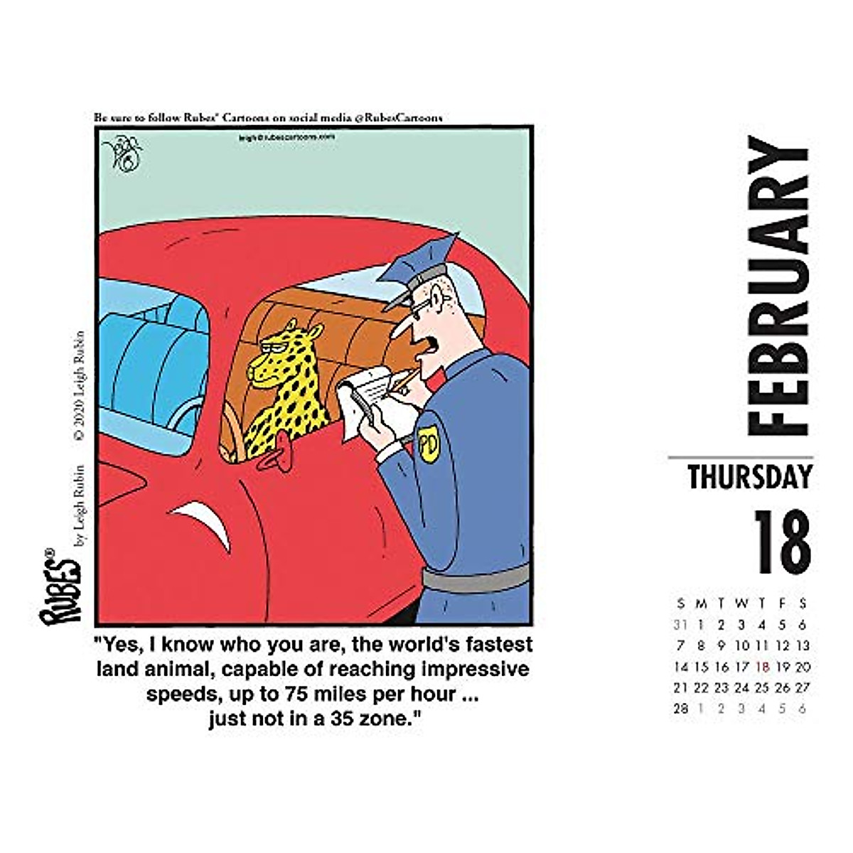 Zoo In A Box 2021 Box Calendar