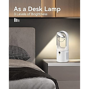 Desk Fan, 6 Speed Battery Operated Fan & Lamp 2 in 1 Bladeless Fan, Stylish 13 Inch Table Fan with LED Power Display, Type C Portable Fan with Natural Wind for Bedside Home Bedroom Office Summer Gift