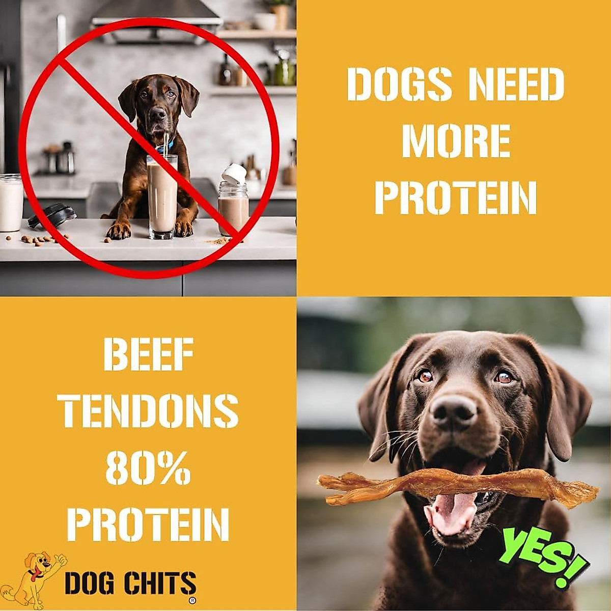 Dog Chits Beef Tendons for Dogs and Puppies | Large 7-9-inch | Odor Free | All Natural, Treats | Hardy Chew for Large and Small Dogs | Premium Grass Fed Beef | 6 Pack