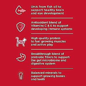 Hill's Science Diet Indoor, Kitten, Easy Litter Box Cleanup, Dry Cat Food, Chicken Recipe, 3.5 lb Bag