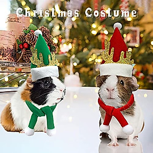 ShuRung 12Pcs Christmas Pet Chicken Hat Scarf Small Animal Xmas Santa Mini Chick Guinea Pig Bunny Hats with Adjustable Chin Strap for Duck Hamster Chinchilla Pets, Green,Black