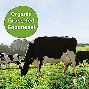 Aussie Bubs Grass Fed Nutritional Milk-Based Toddler Formula, For Kids 12-36 months, Made with Non-GMO Organic Milk, 28.2 oz